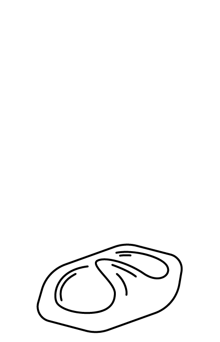 saiake@4x | Tervisliku toitumise informatsioon